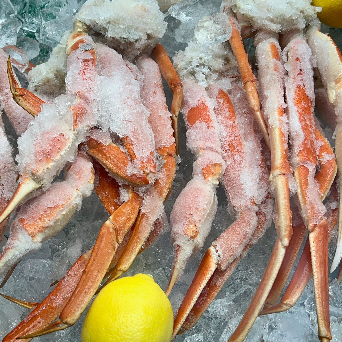 Canadian Snow Crab Legs Crab Canadian Snow Clusters 5/8 Oz (5 Lbs)